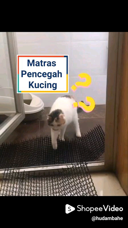 Matras Pencegah Kucing | Shopee Video Indonesia